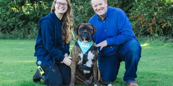 RSPCA’s new partnership to help pets amid rehoming crisis | The ...