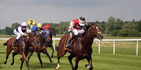 The Top Three Horse Racing Events in the UK | The Lifestyle Daily