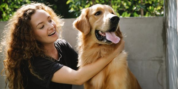 5 reasons why dogs make good pets | The Lifestyle Daily