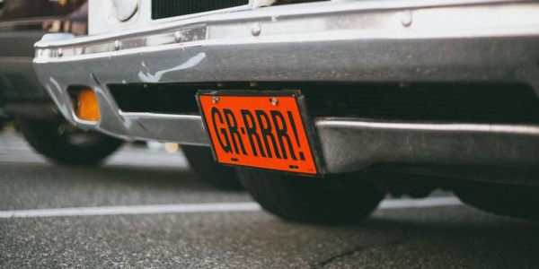 DIY Plate Art: Unleash Your Creativity on Your License Plate | The ...
